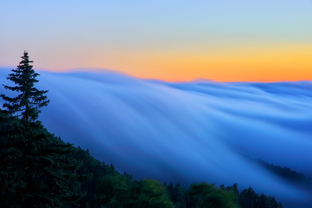 the Wave of Clouds vol.4 | GANREF