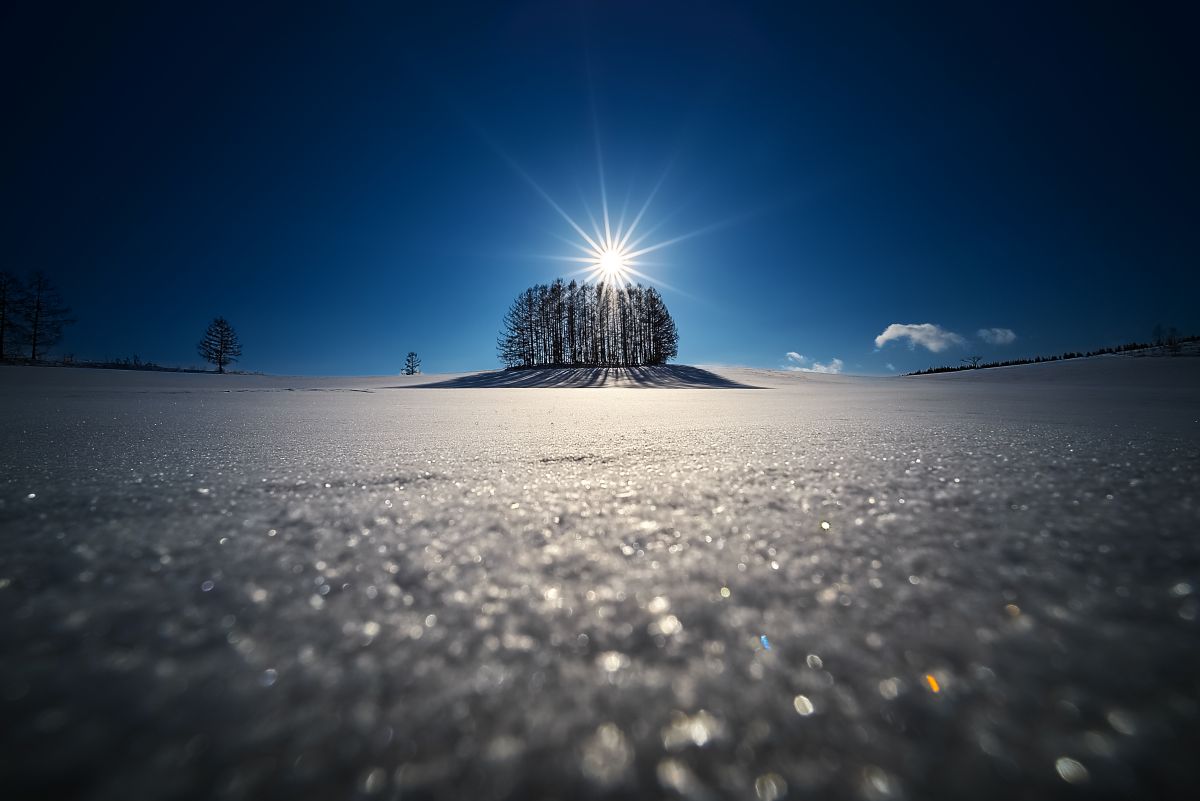 MILD SEVEN HILL | GANREF