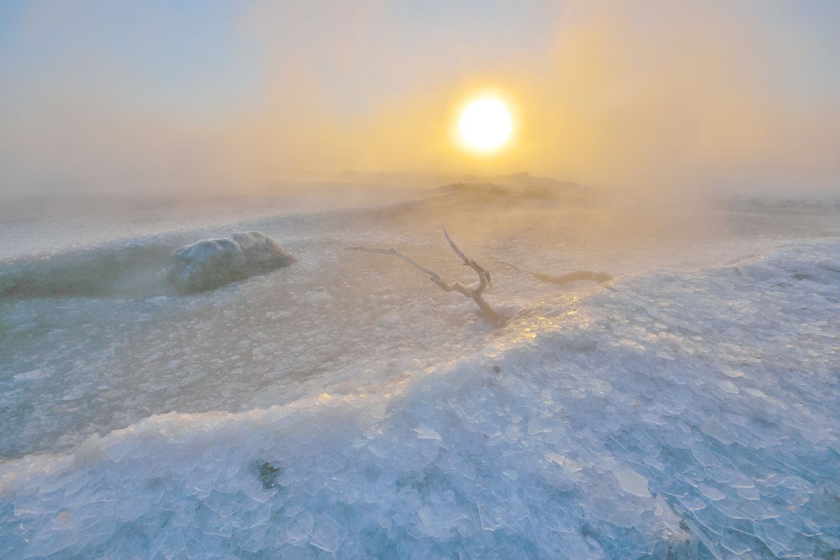 The World Of Ice | GANREF