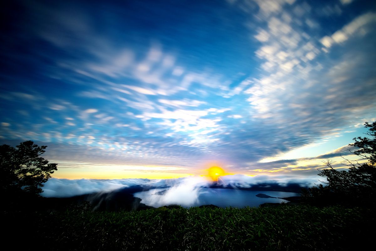 Anyway the wind blows | GANREF