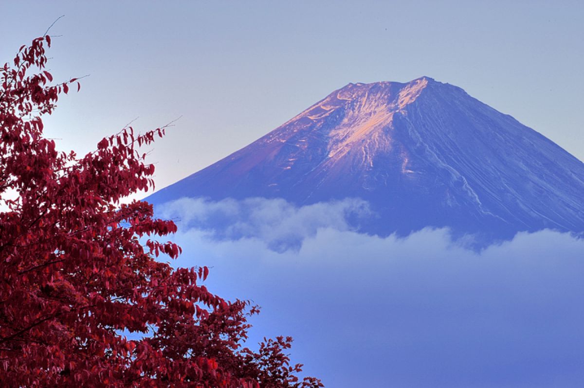 秋色に染めて | GANREF