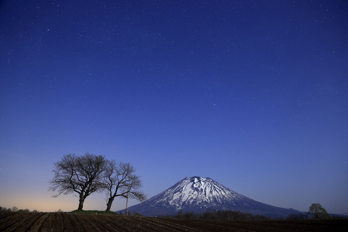 Moonlight Serenade 2 | GANREF