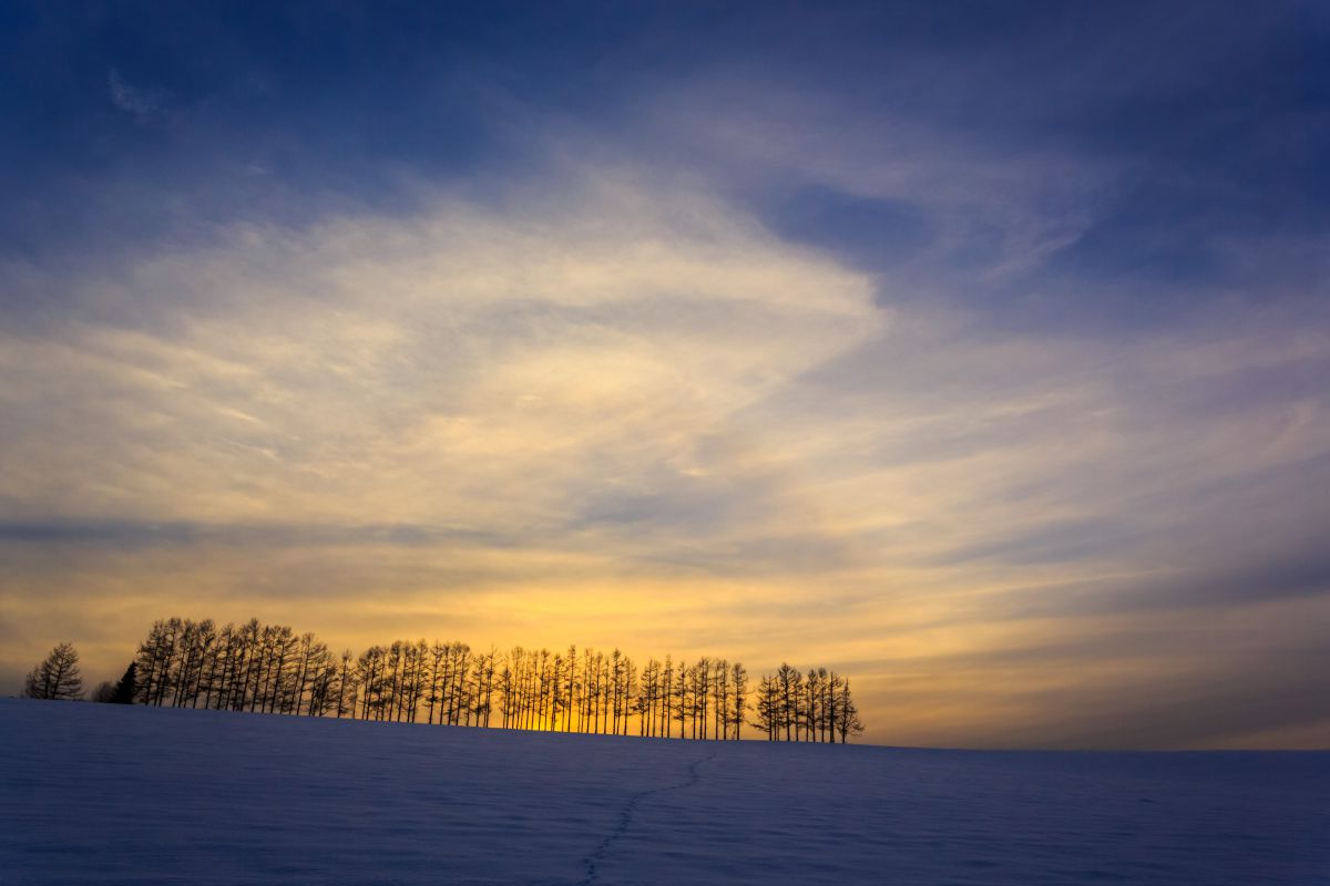 北海道風景2013_90 | GANREF