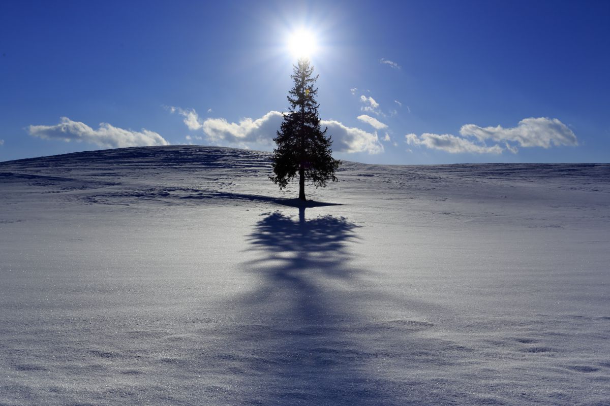 Shade Part 2 | GANREF