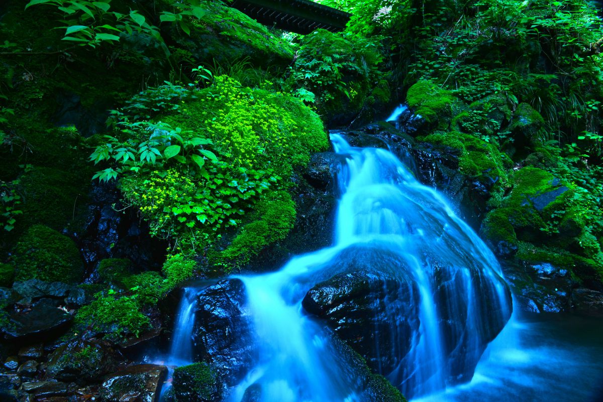 妖艶な世界 | GANREF