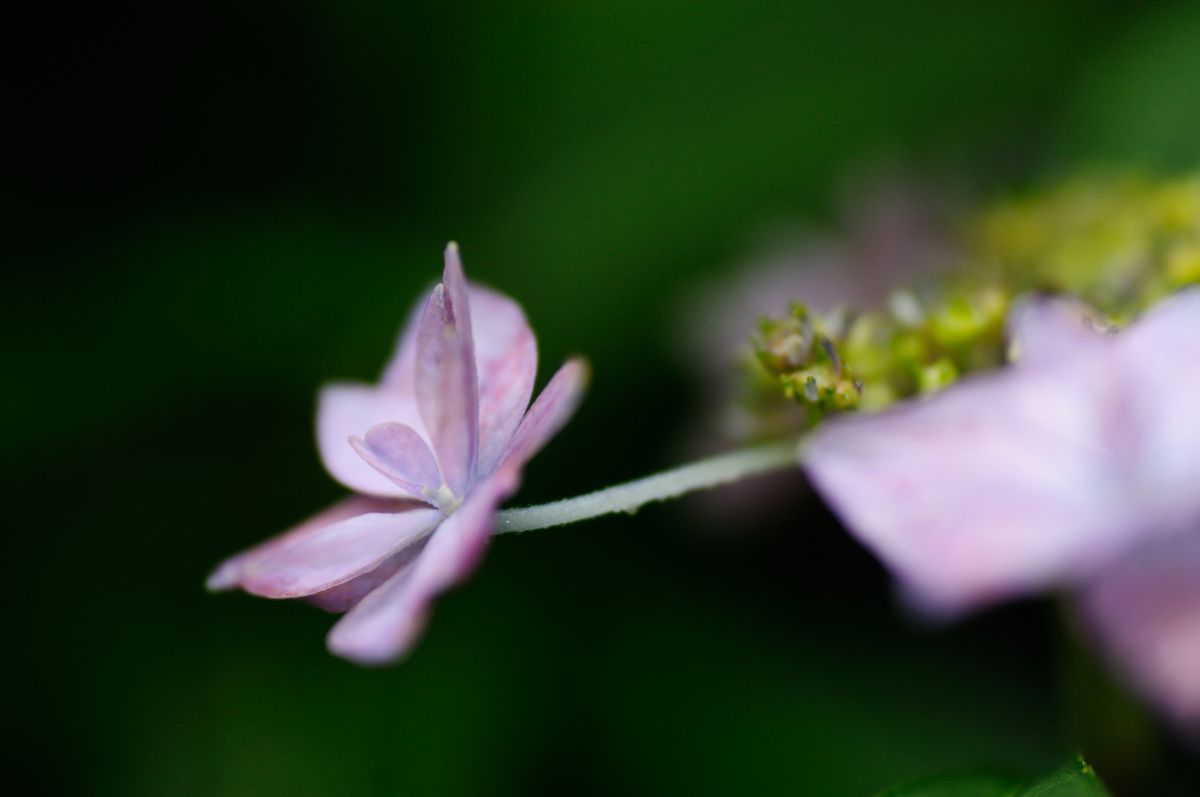 少しでも近く... | GANREF