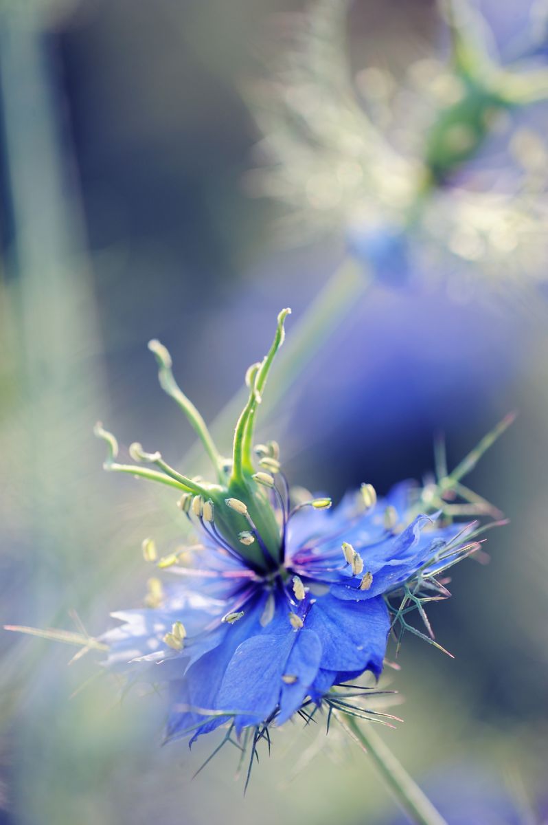 cosmo station | GANREF