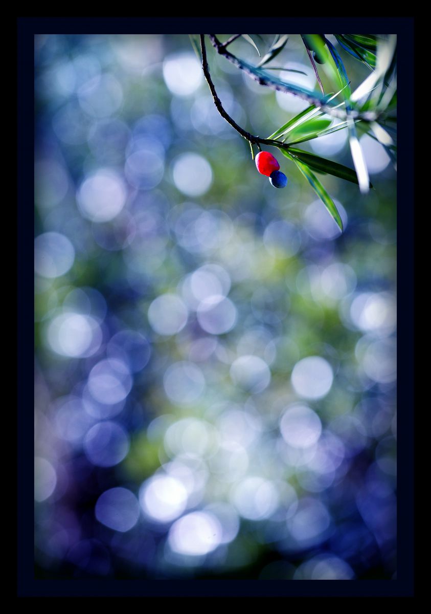 natural Illumination | GANREF