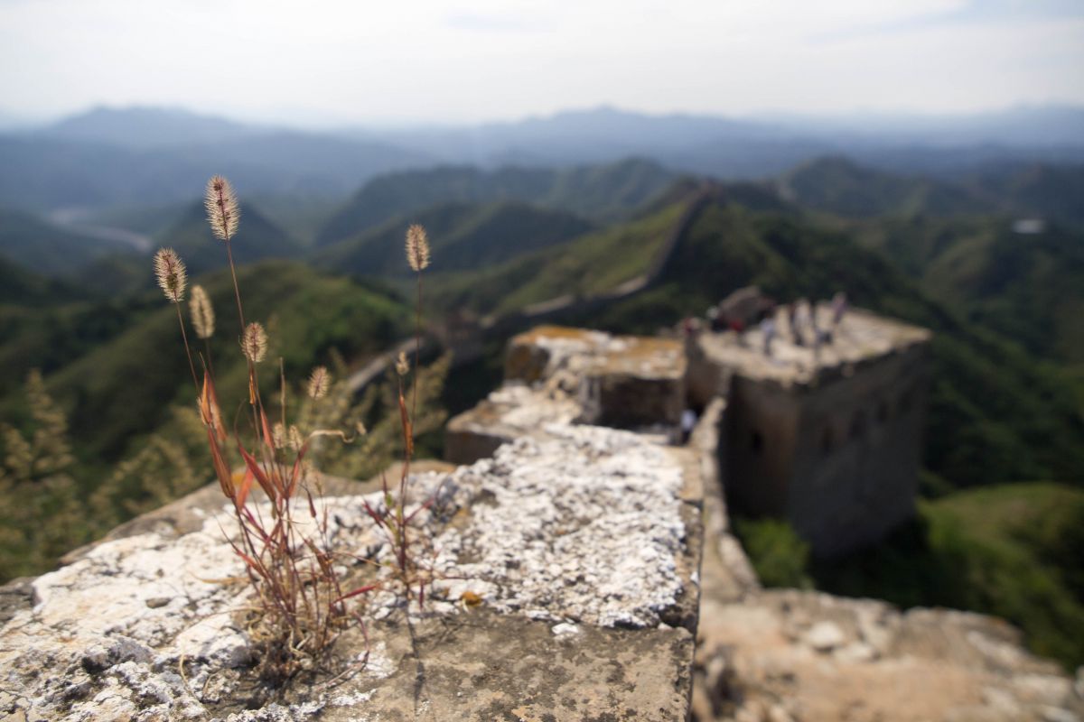 on the wall | GANREF