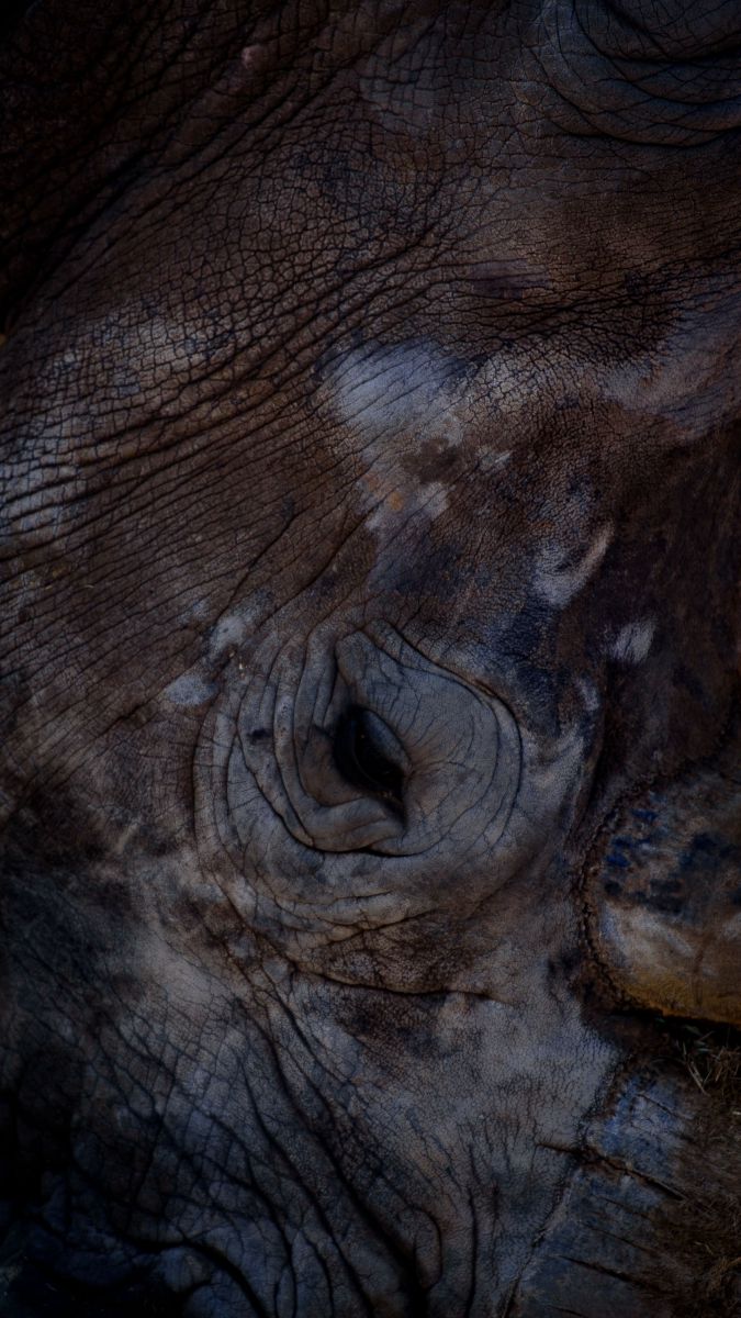 THE EYE OF THE EARTH | GANREF