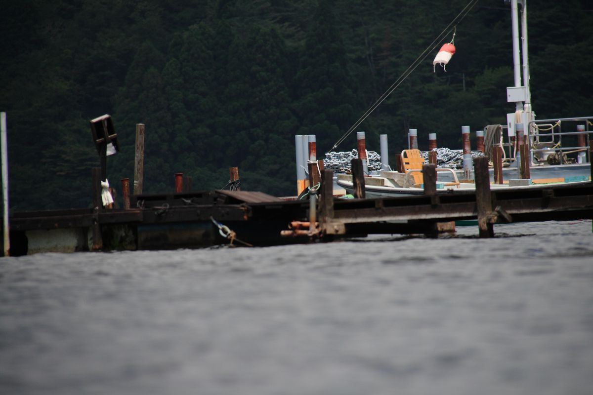 任務、遂行中。。 | GANREF