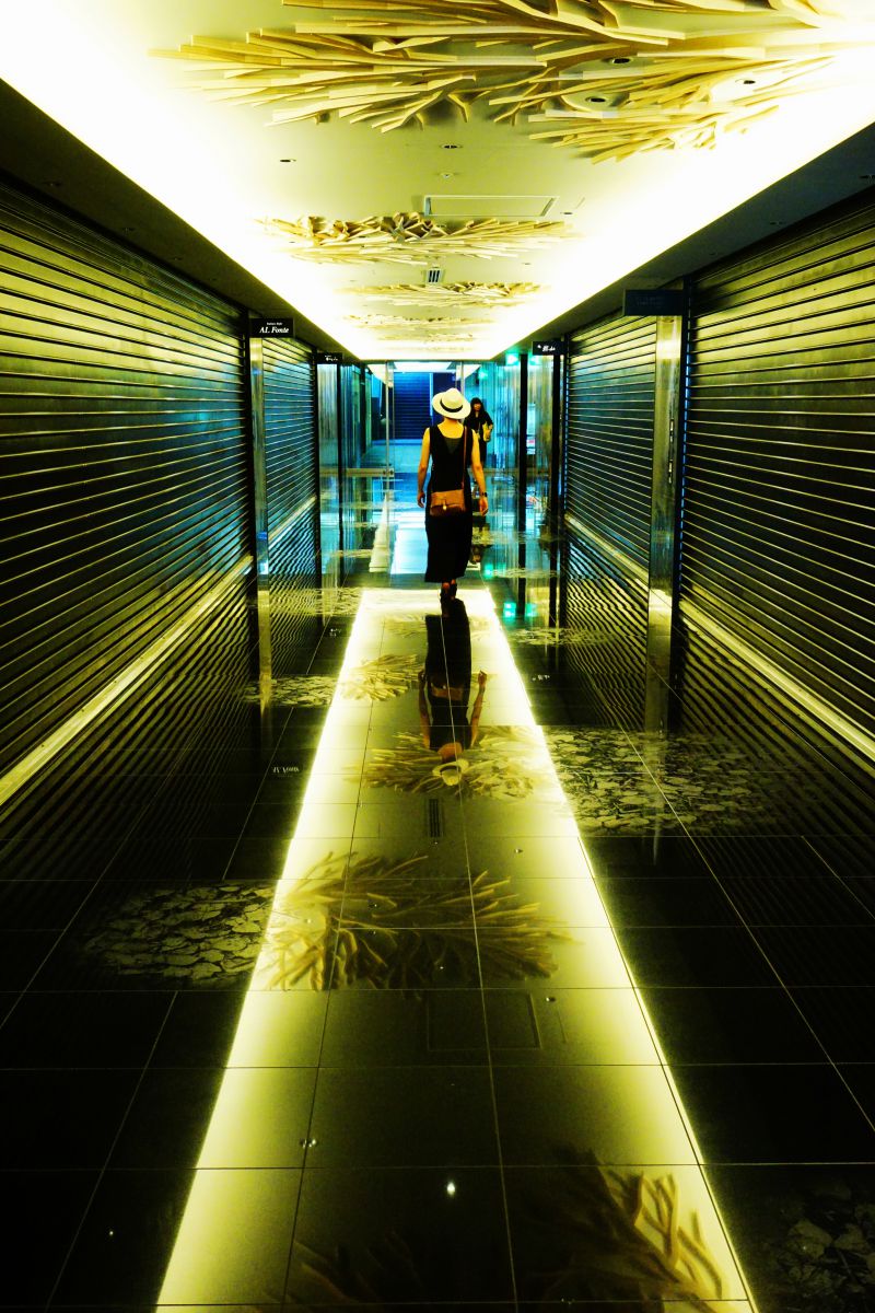 Moon Walker | GANREF