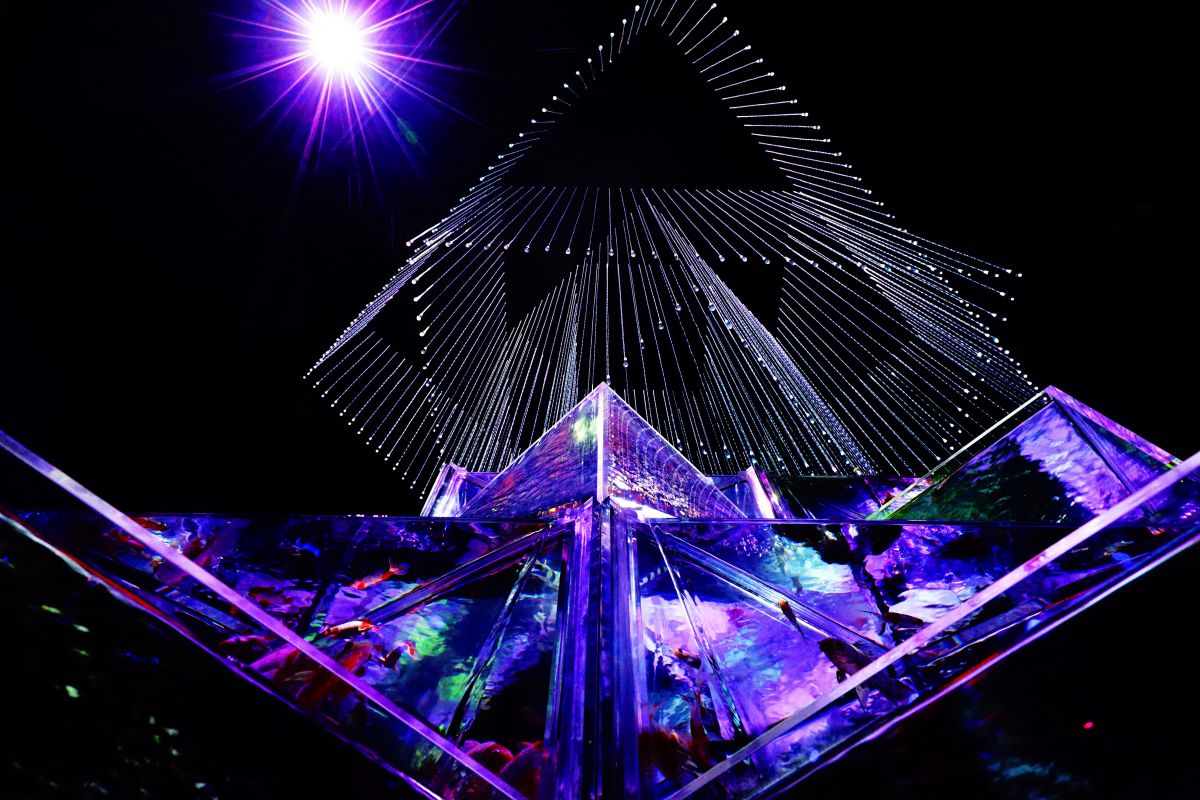 Gold Fish dance♪ | GANREF