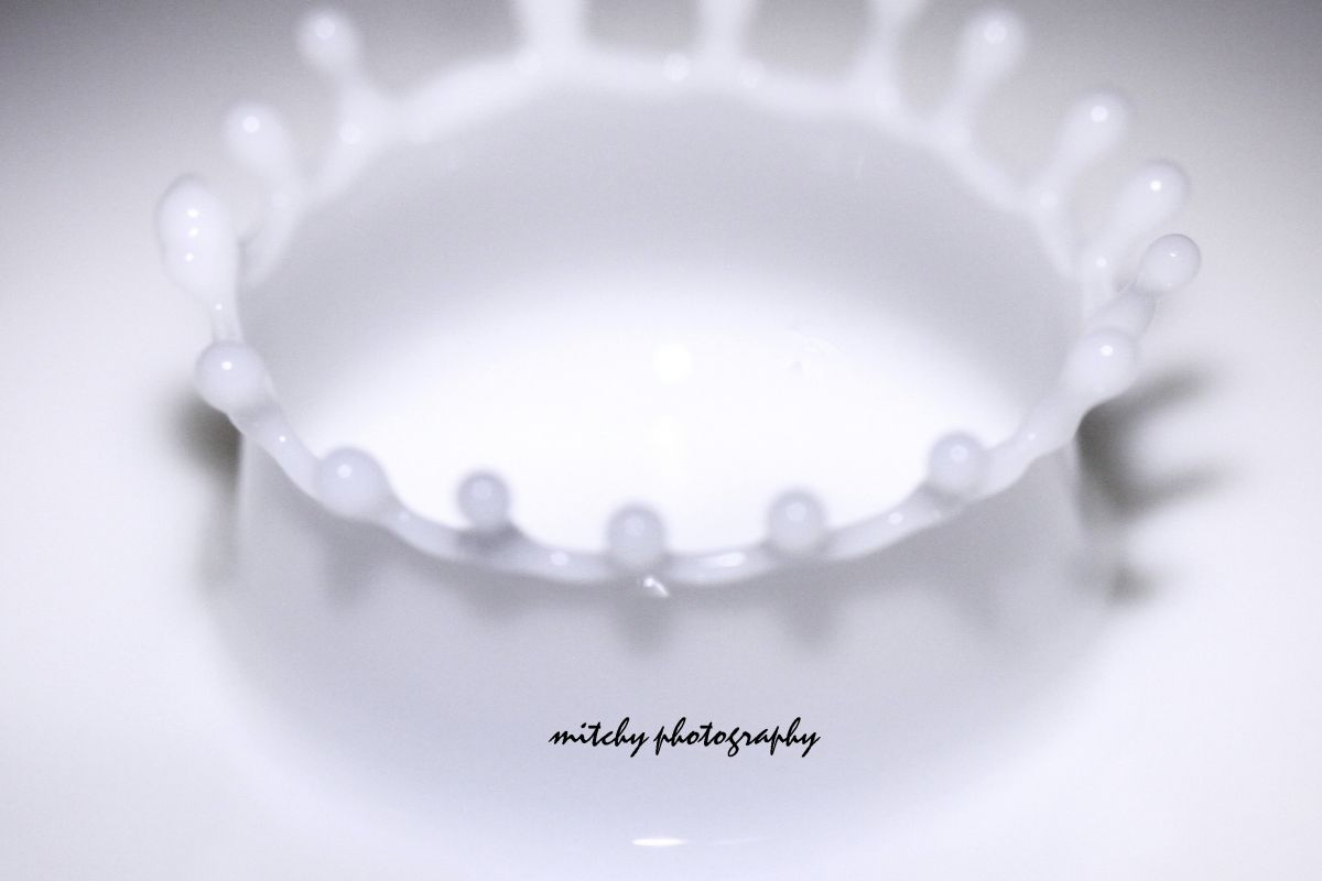 -milk crown- | GANREF