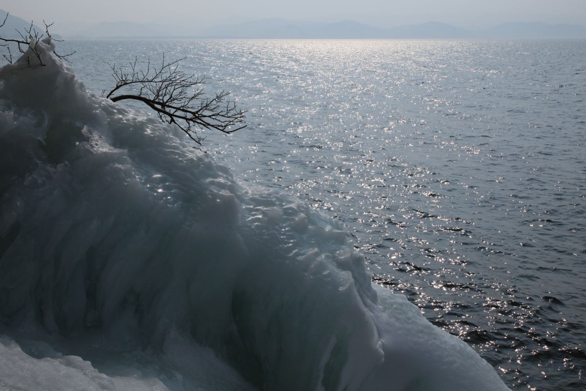 はる近く | GANREF