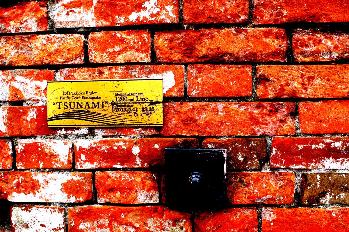 TSUNAMI 2011.3.11 | GANREF