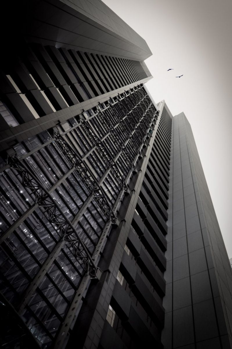 Black Building | GANREF