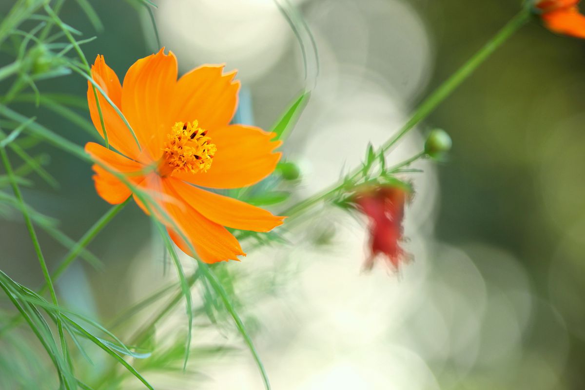 Early Autumn | GANREF