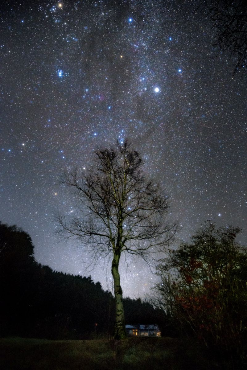 Shining jewel | GANREF