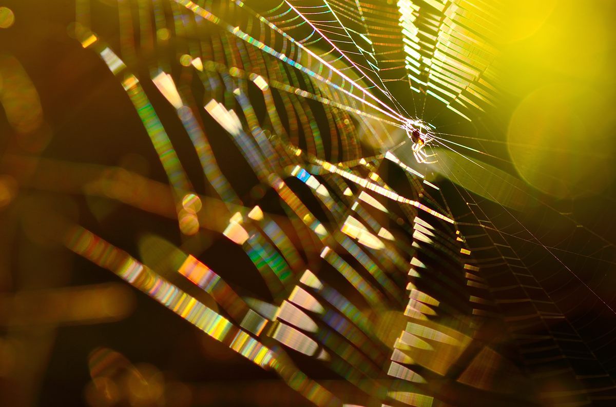 Rainbow trap | GANREF