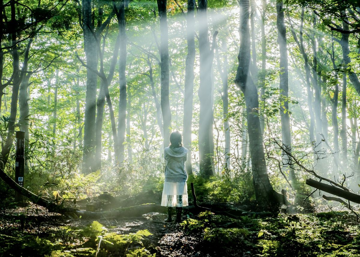 Light shower | GANREF