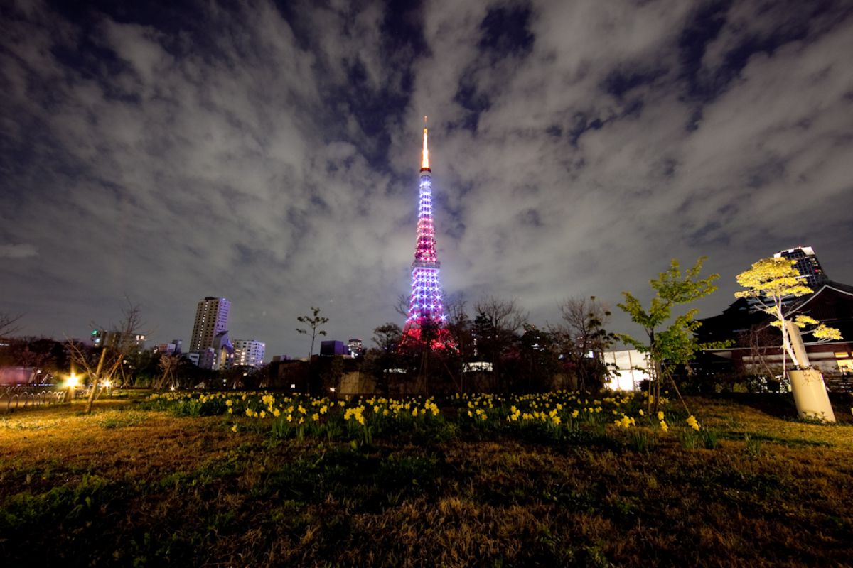 GARDEN TOWER | GANREF