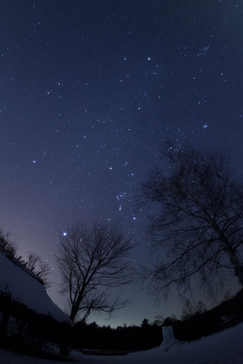 Snow Diamond | GANREF