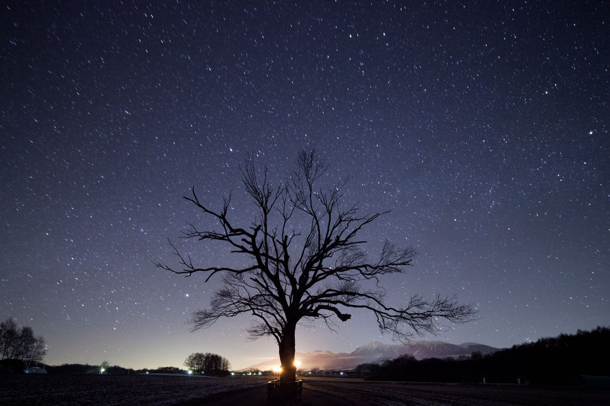 Starlight Day | GANREF