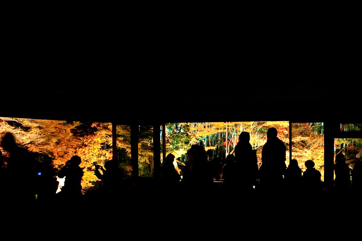 Natural Screen | GANREF