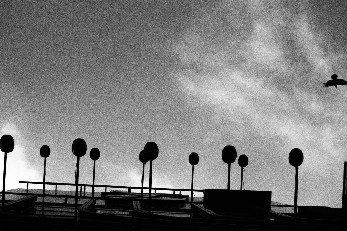 歌舞伎町23 | GANREF