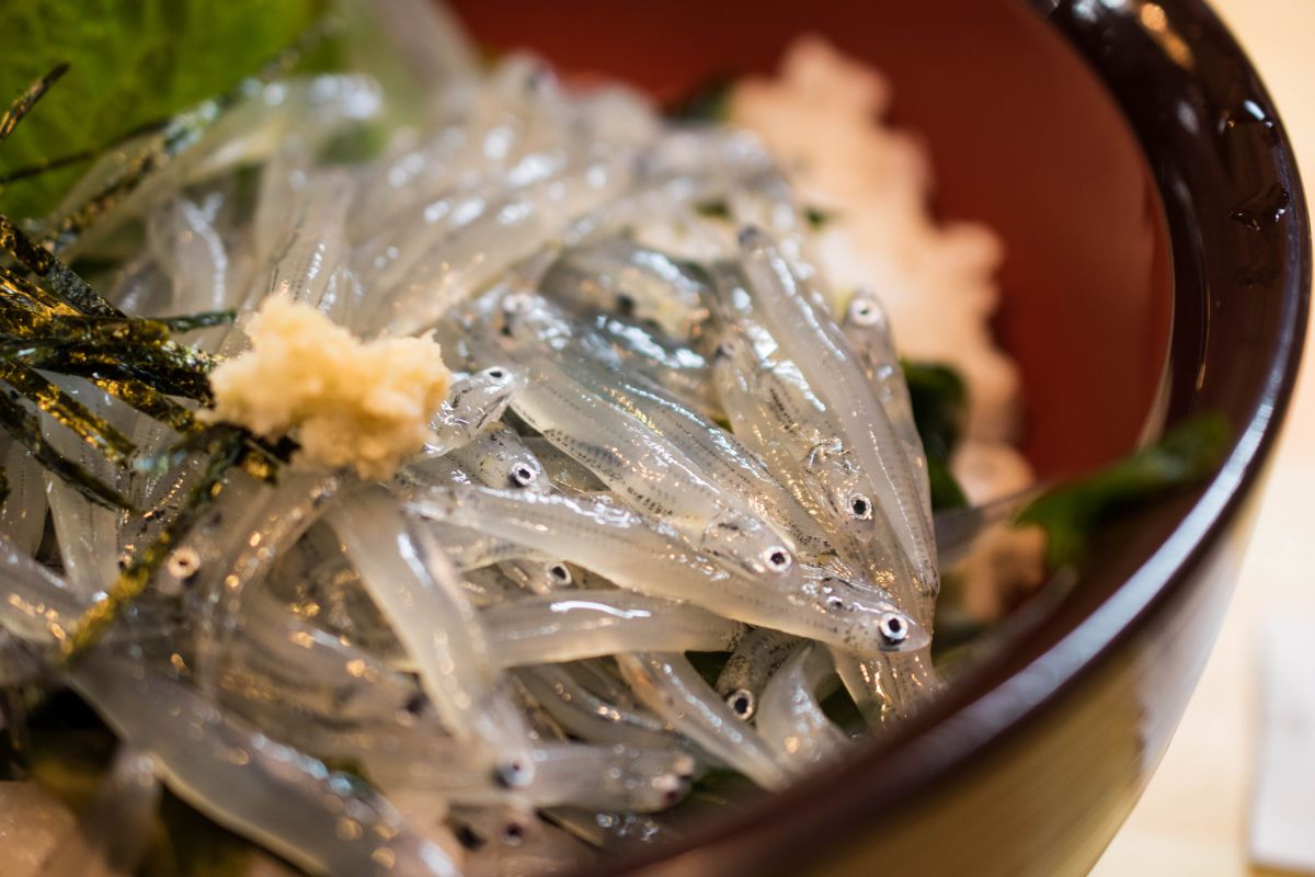 Raw whitebait bowl | GANREF