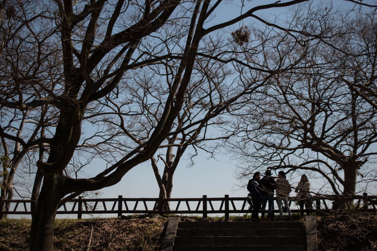 under the tree | GANREF