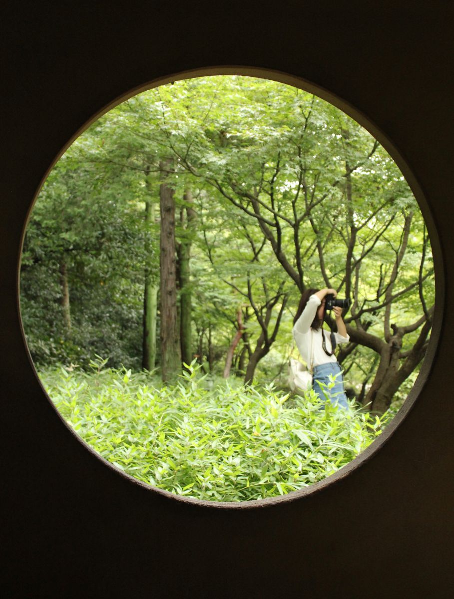 のぞき見 | GANREF