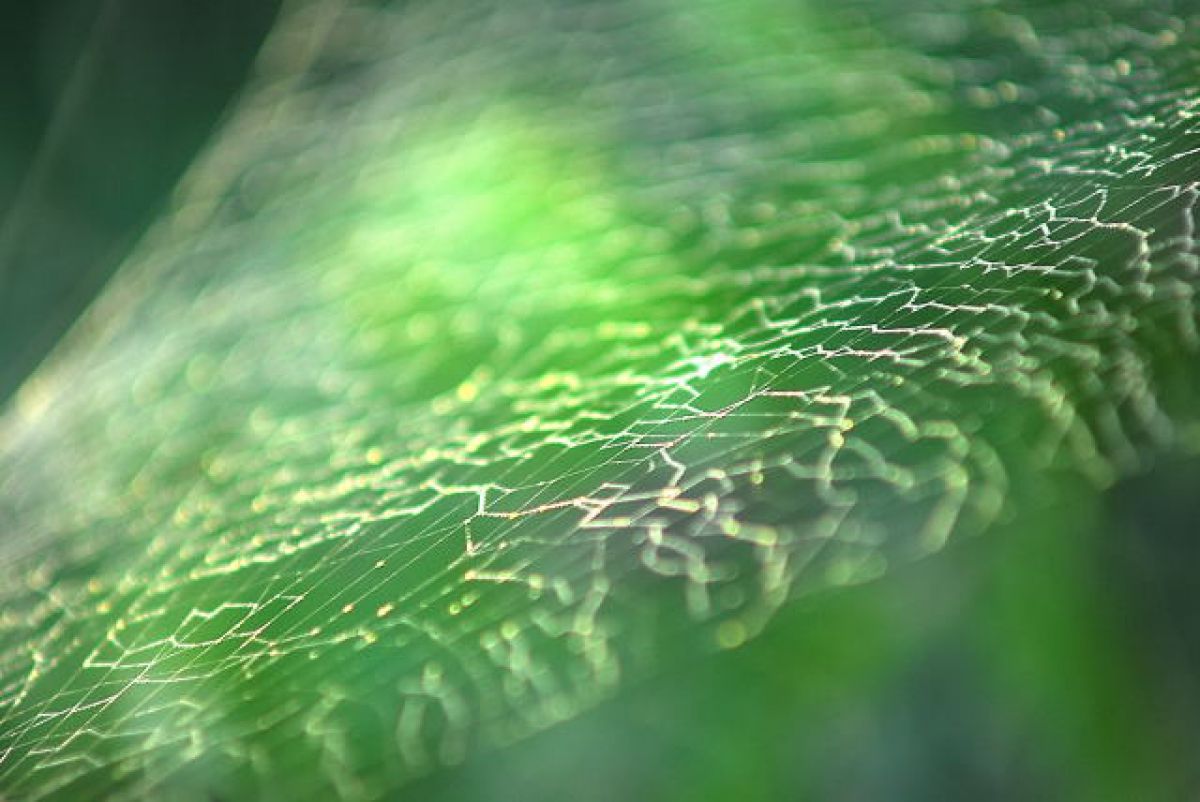 光ネットワーク～web | GANREF