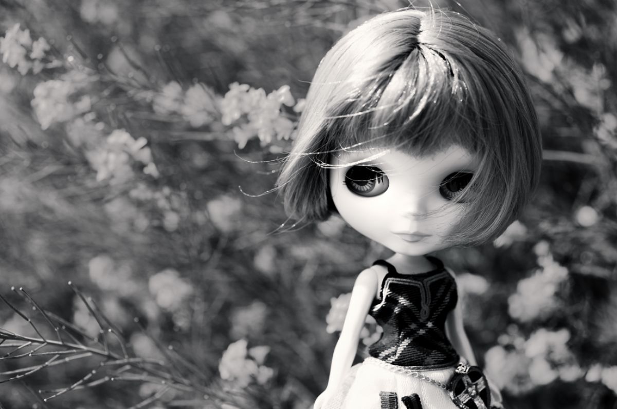 Feel the wind | GANREF