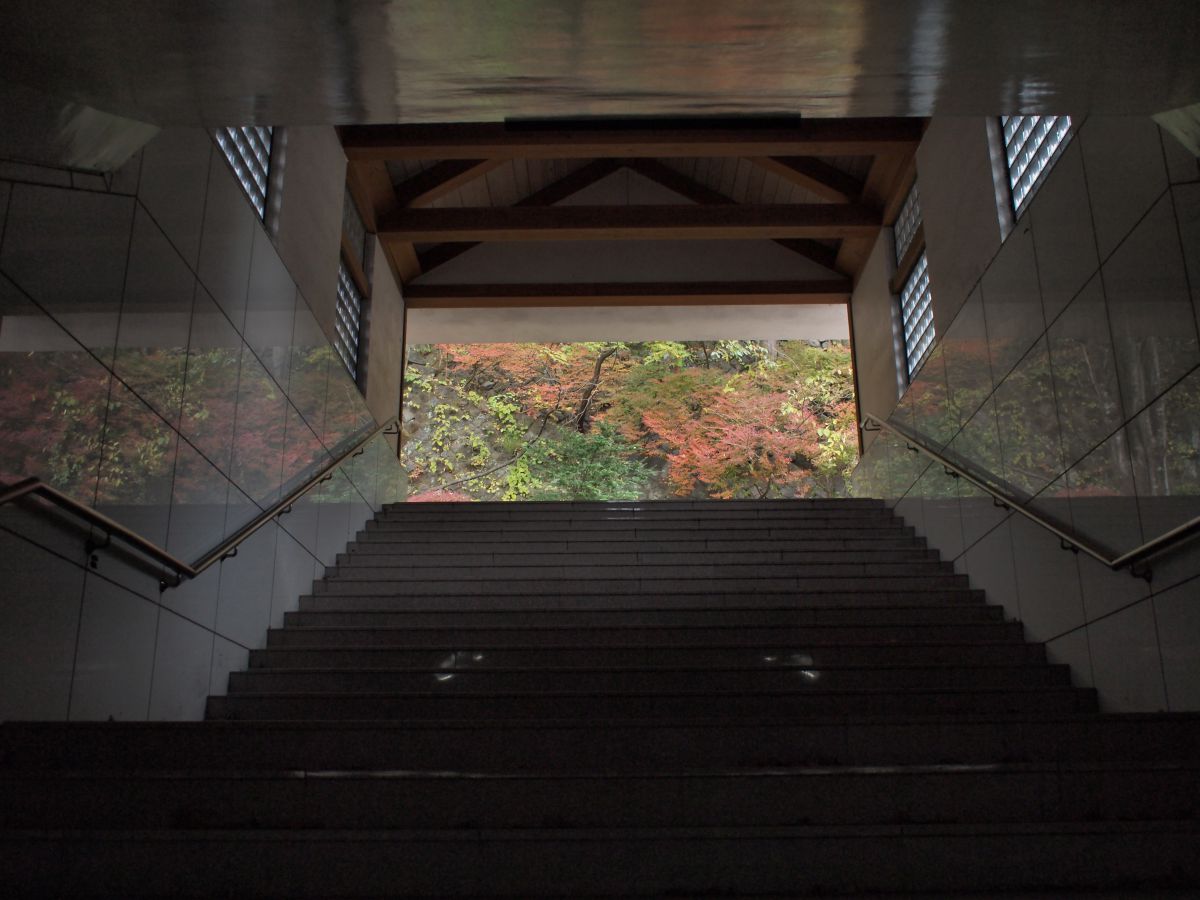 projection screen | GANREF