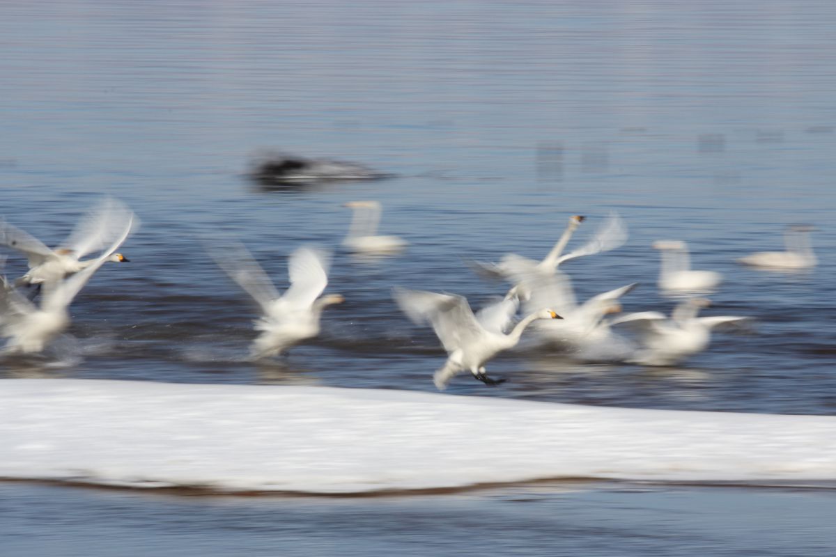 take-off ready? | GANREF