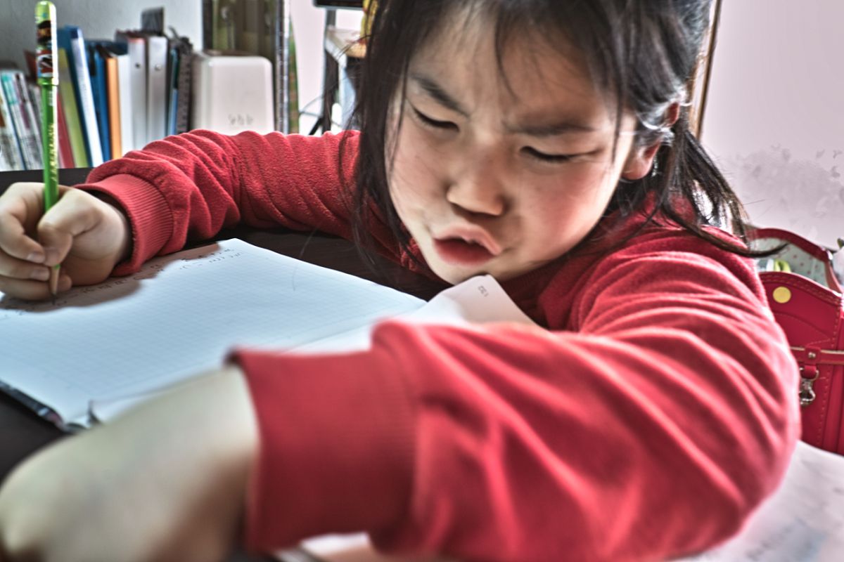 HARD WORKER | GANREF