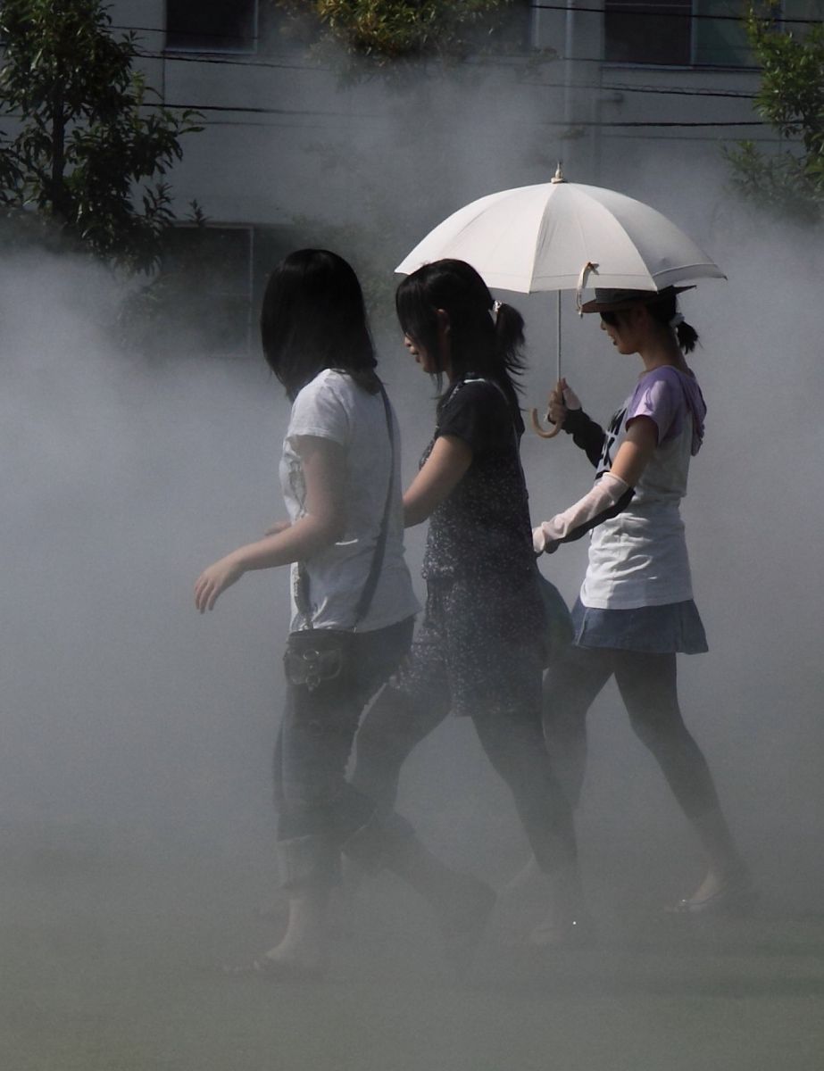 walk in the mist | GANREF