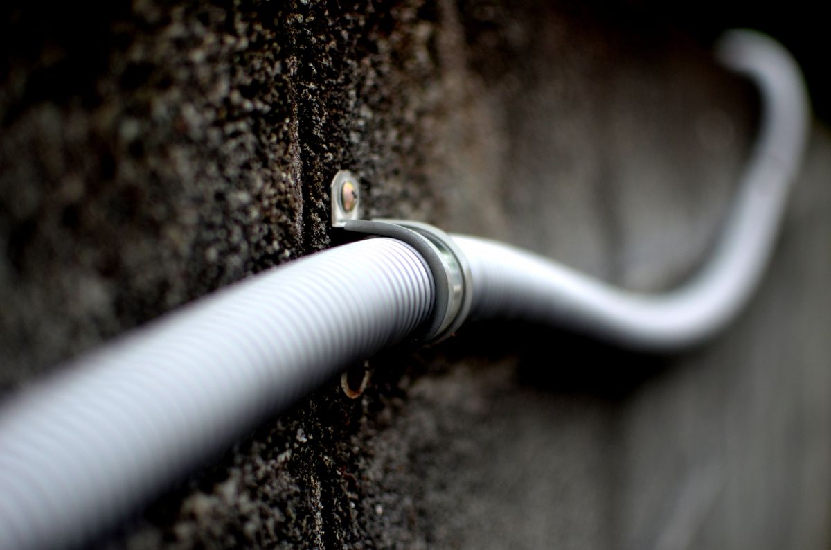 This picture is a bit out of focus. | GANREF