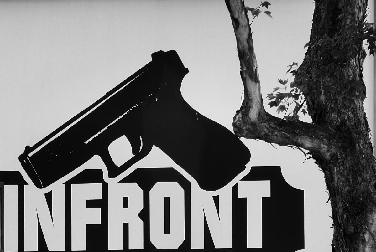 gun and tree | GANREF