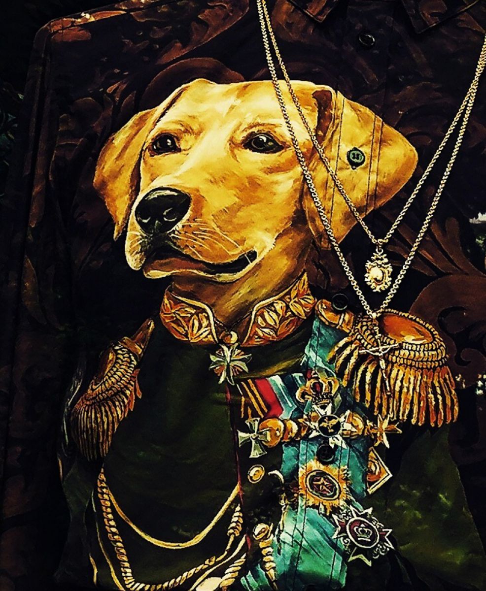 ワン!ダフル | GANREF