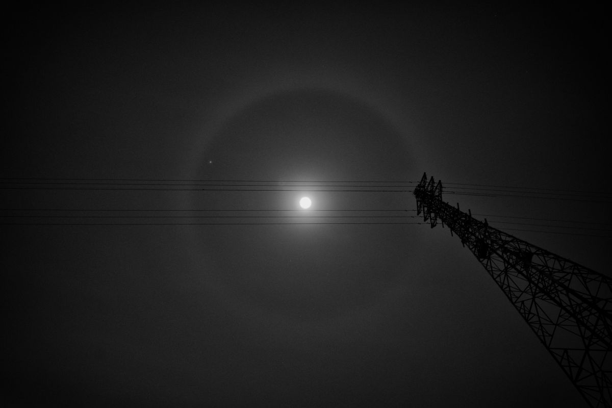 night ring | GANREF