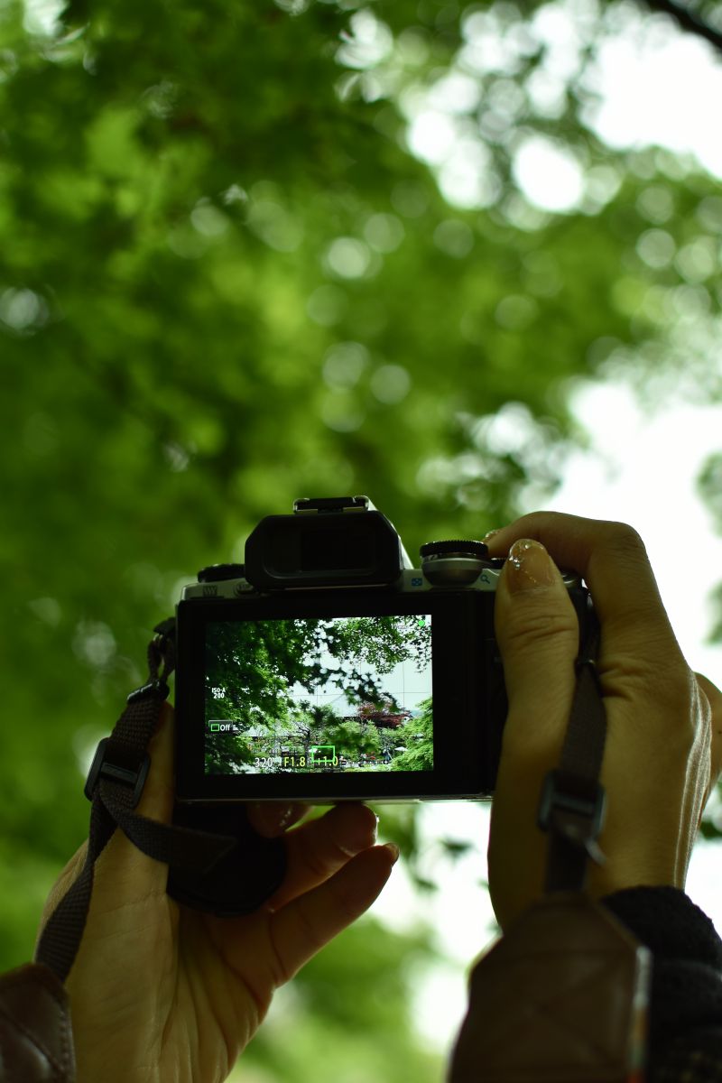 nice shot?! | GANREF