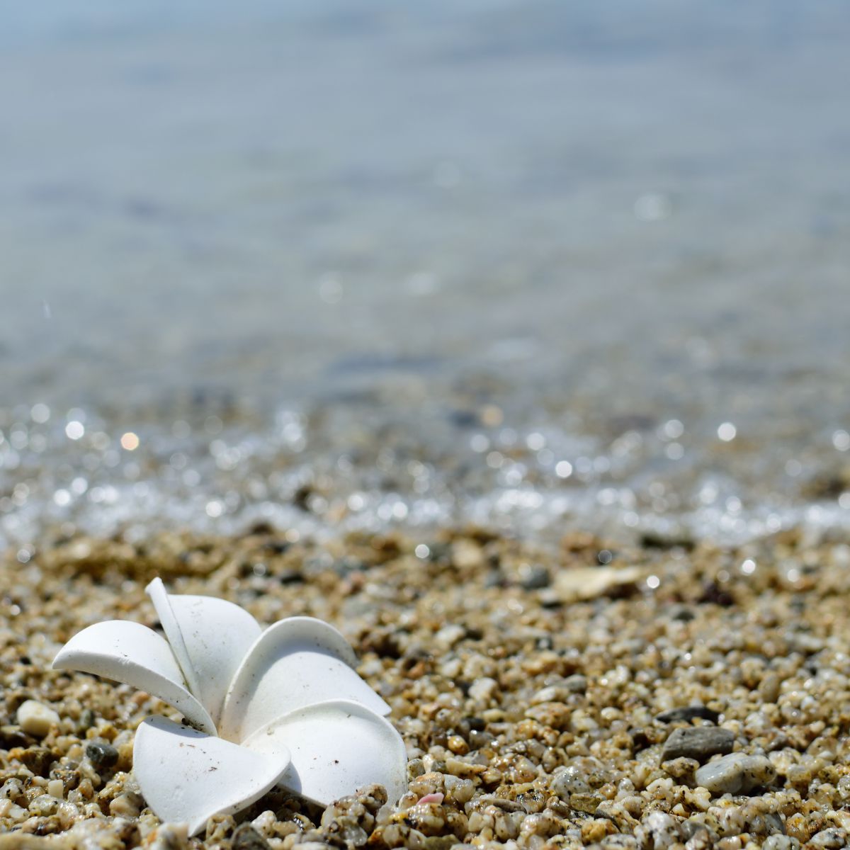 memory･･･ | GANREF