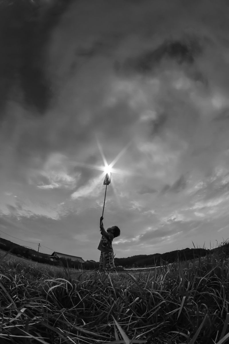 I catch light | GANREF