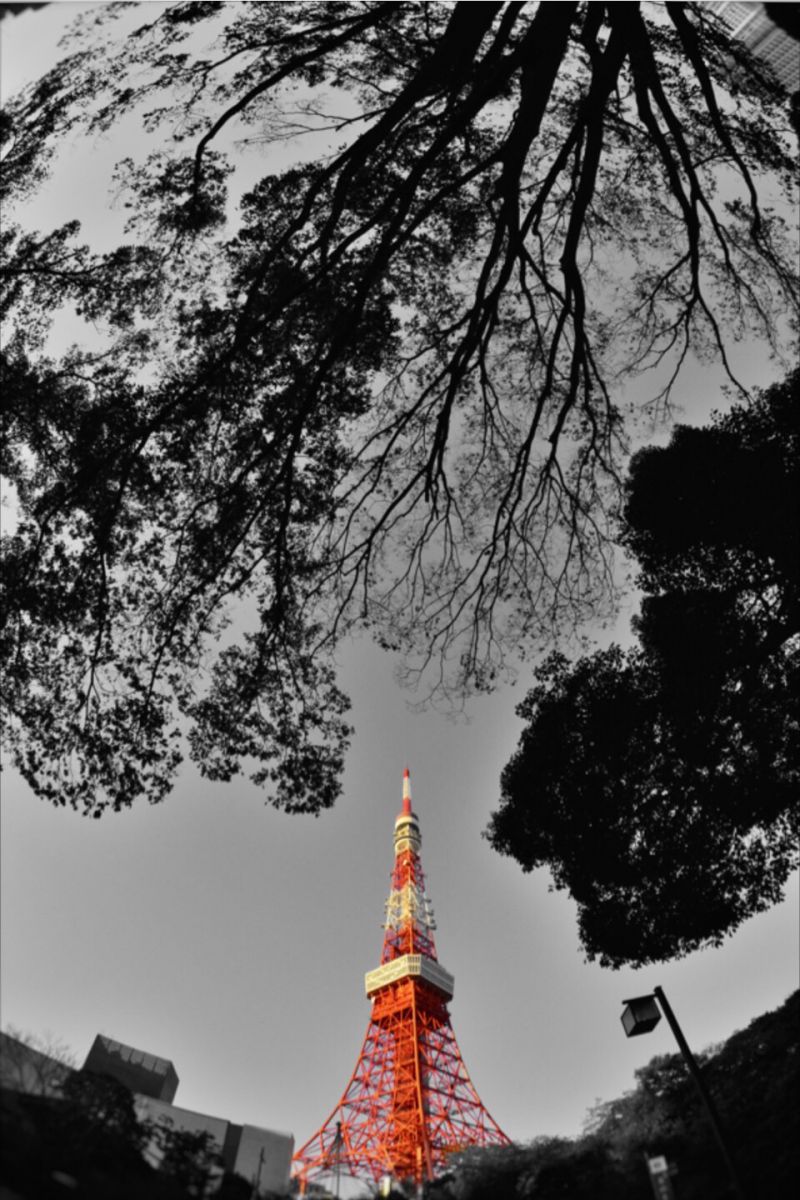 Tokyo tower | GANREF