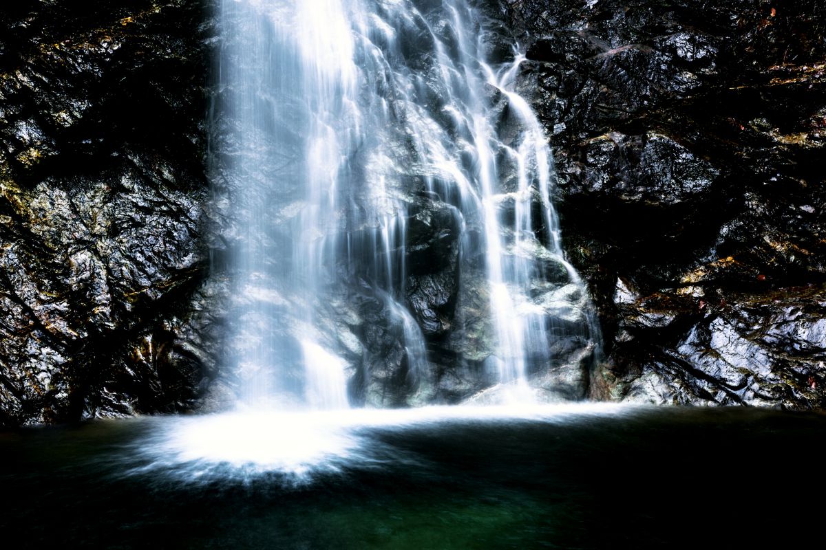 dye something white | GANREF