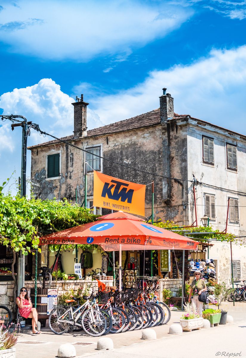 Sun shower ** | GANREF