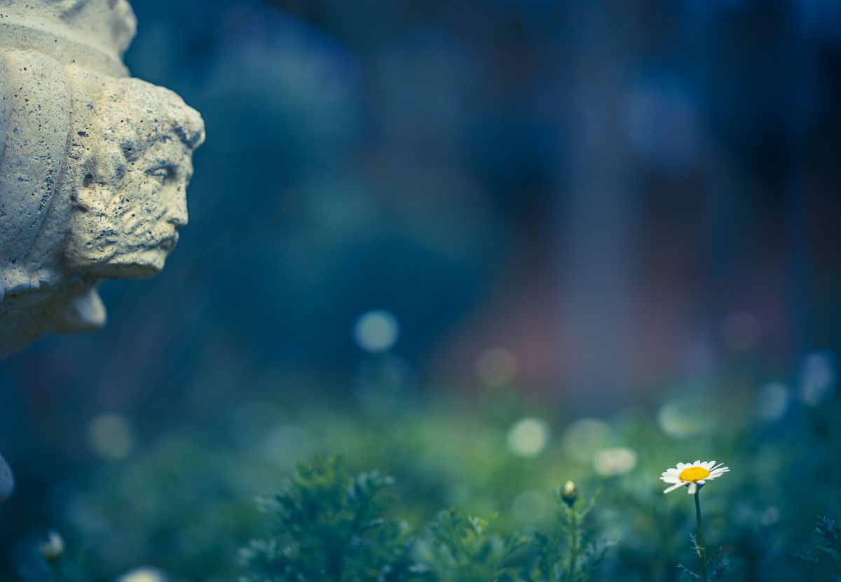 Once upon a time… | GANREF